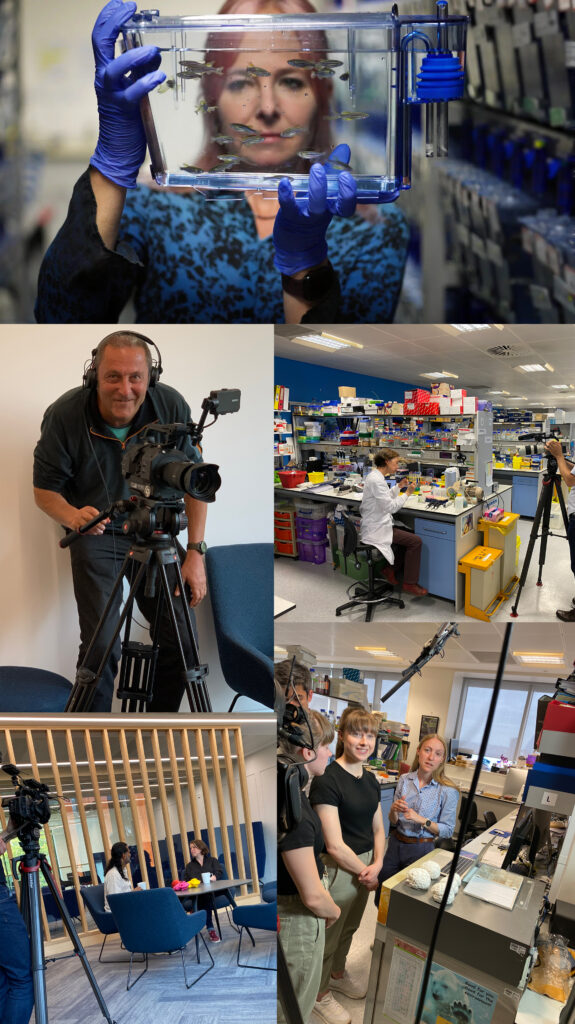 BSDB - British Society for Developmental Biology