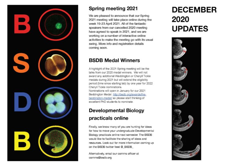 December update from the BSDB - BSDB - British Society for ...
